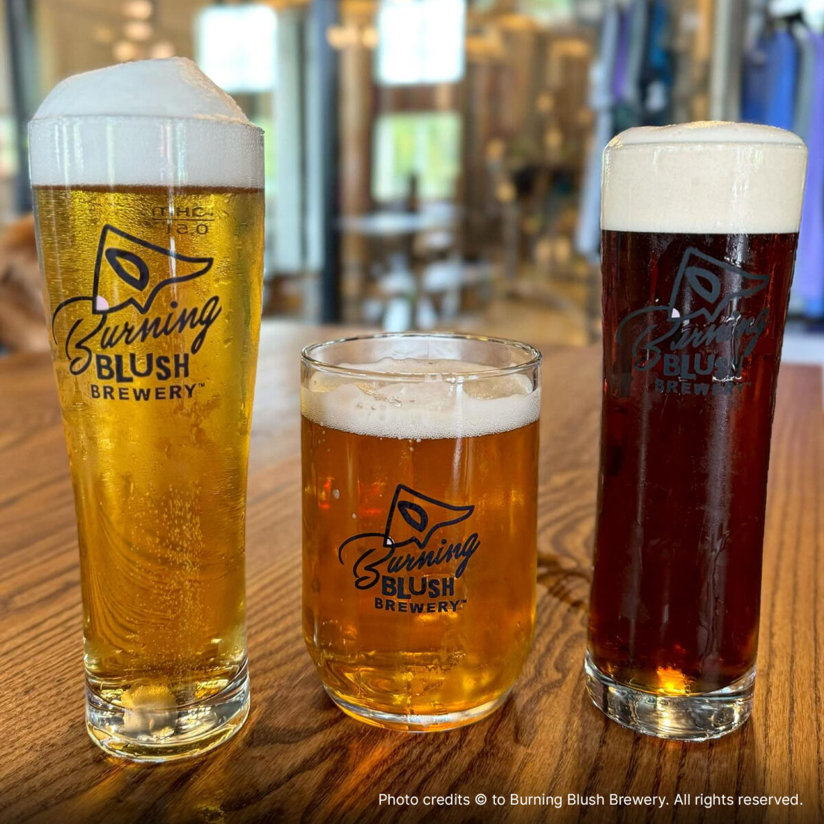 Exploring Mills River’s Craft Beer Scene - Acony Bell Tiny Home Community